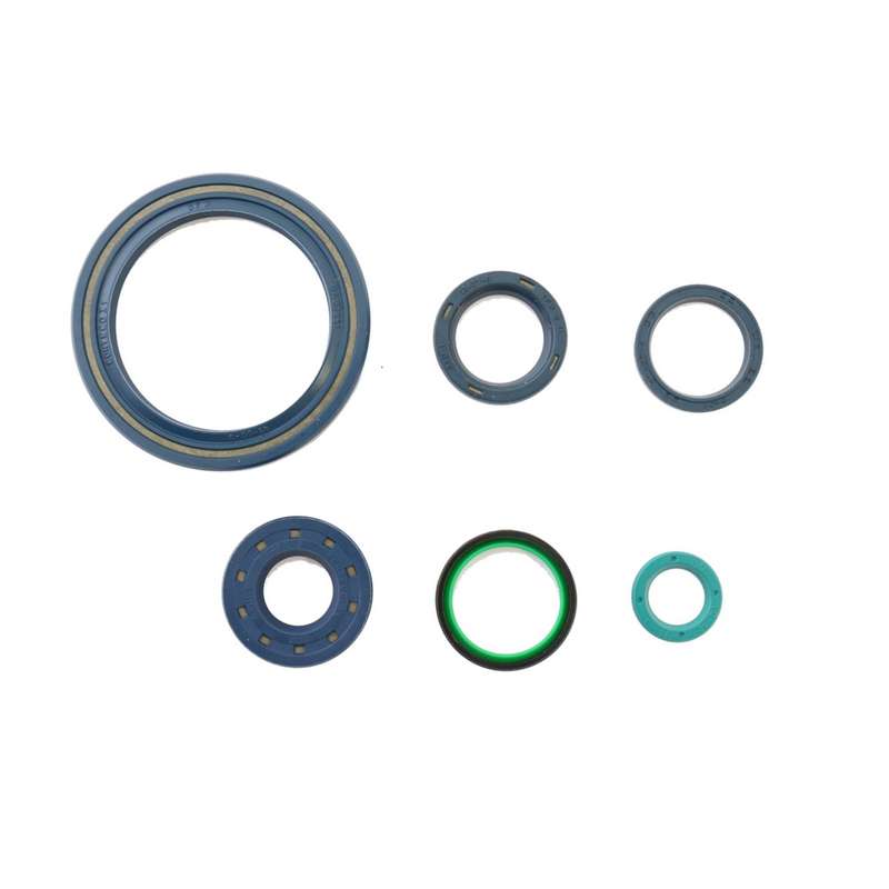 kit de retenes de motor ref p400110400750 | Nilmoto