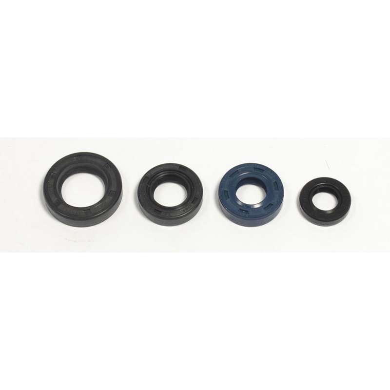 kit de retenes de motor ref p400210400192 | Nilmoto