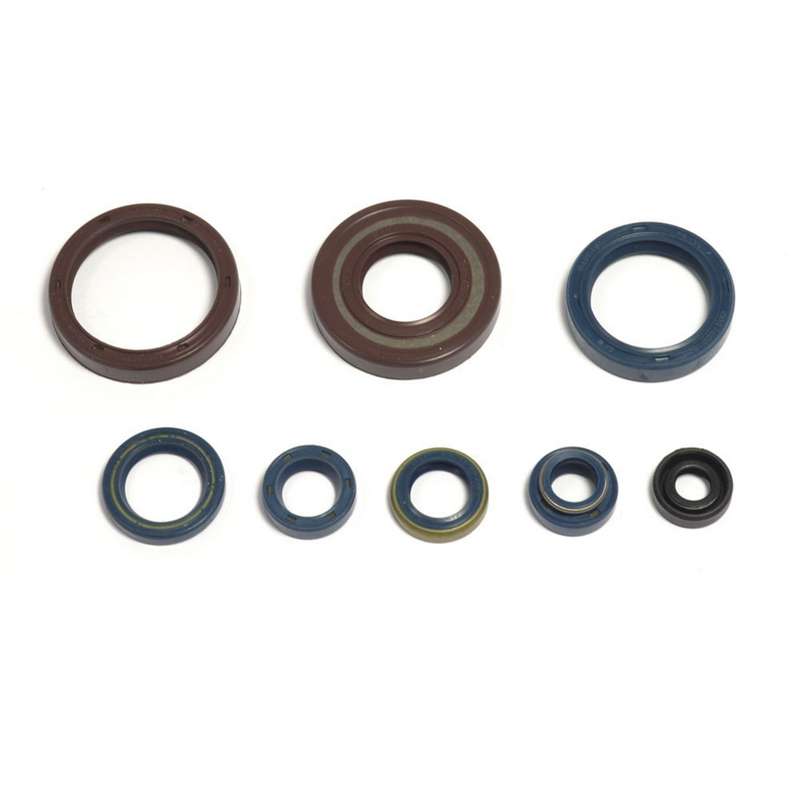 kit de retenes de motor ref p400220400128 | Nilmoto