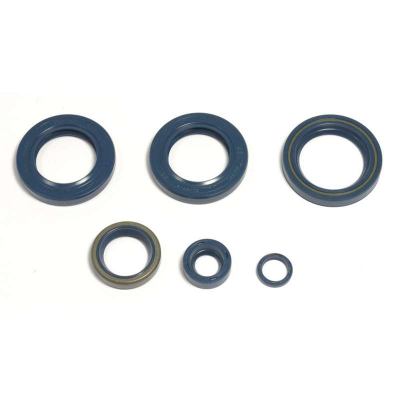 kit de retenes de motor ref p400270400051 | Nilmoto