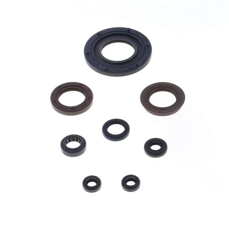kit de retenes de motor ref p400510400255 | Nilmoto